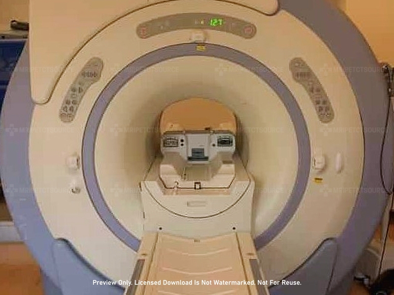 MRI vs CT Scan: What's The Difference?